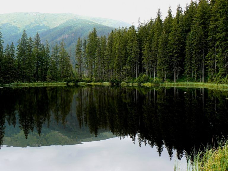 Podhale & Zakopane transport – how to move around Podhale Region ...